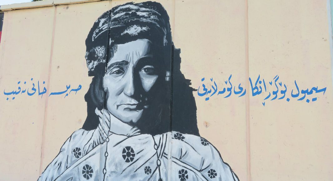 The Unfathomable Charisma of Hapsa Khan - The Kurdish Center for Studies